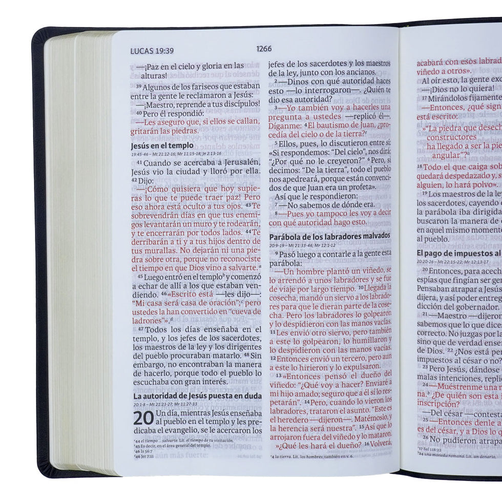 Biblia NVI - Letra Gigante - Negra – Peniel USA