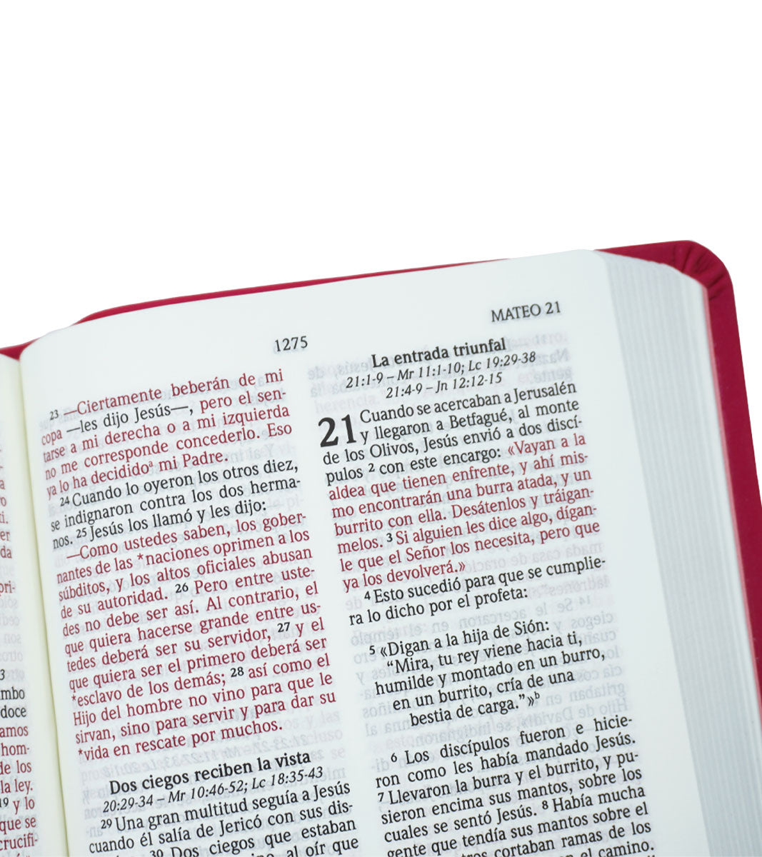Biblia Ultrafina Nvi - Fucsia – Peniel USA
